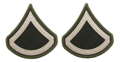 U.S. Army AGSU Chevrons Rank - Pair - Pinks and Greens - Select Rank | eBay