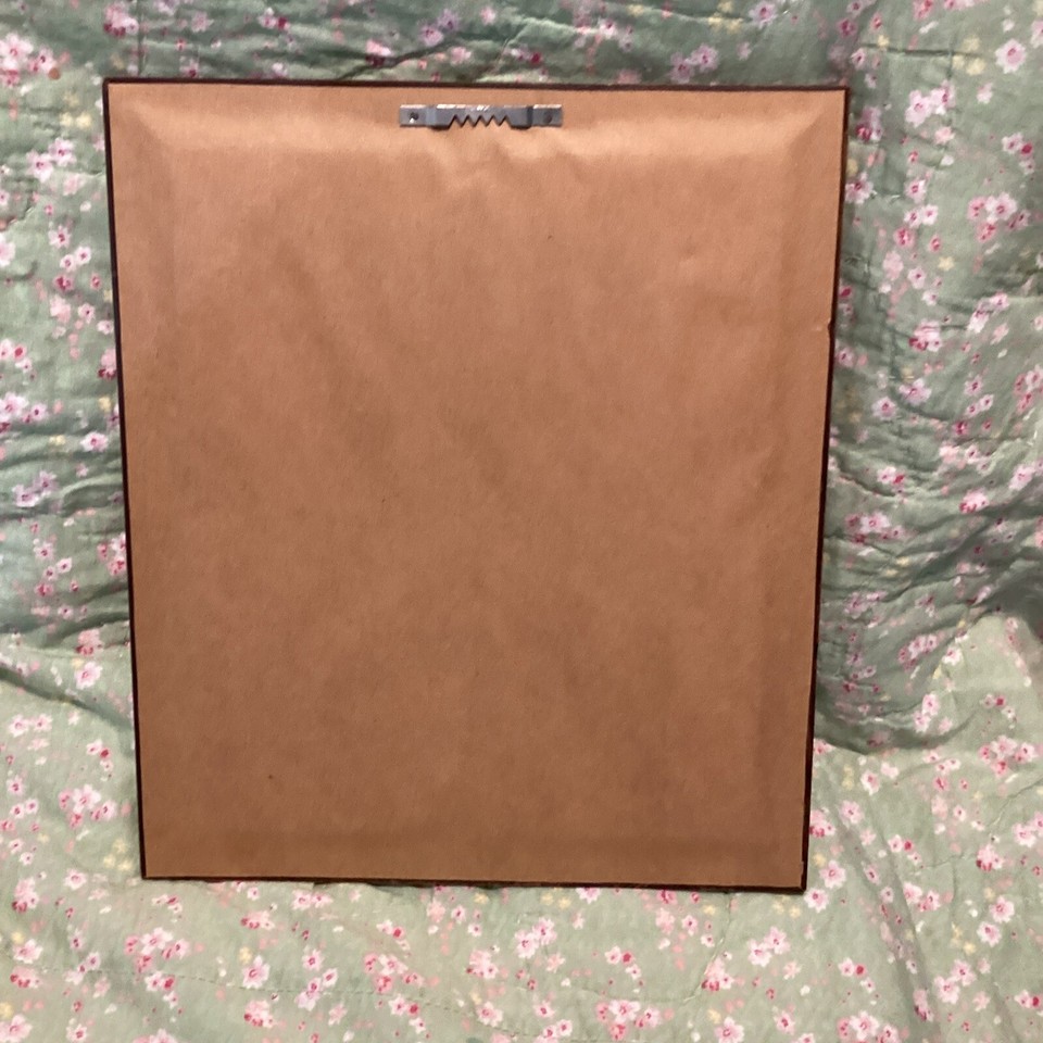 Vintage Screech Owl Photograph Art by Peter Urbansh Matted Framed Art ...