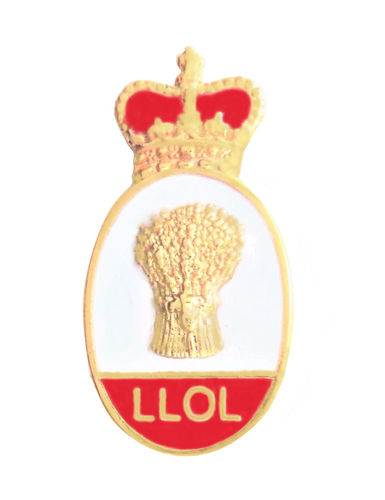 Ladies Loyal Orange Lodge LLOL Wheatsheaf Orange Order Pin Badge | eBay