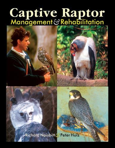 Richard Naisbitt Peter Captive Raptor Management & Rehab (Hardback) (UK ...