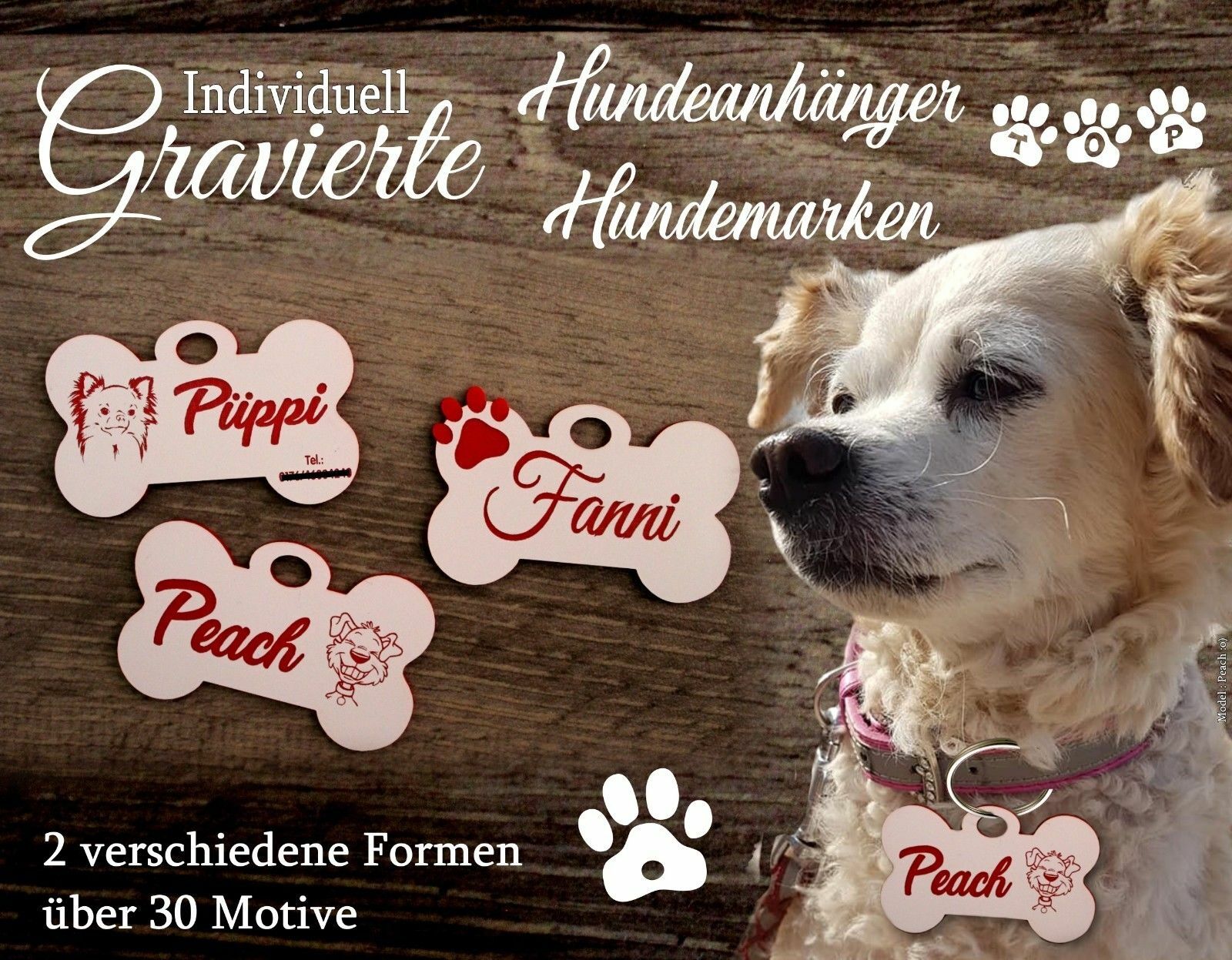 HUNDEMARKE | Knochen | KUNSTSTOFF inkl. Textgravur + Motive zur Auswahl ...