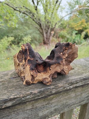 Natural Tree Root Sculpture Table Art Charred Finish Rustic Charm | eBay