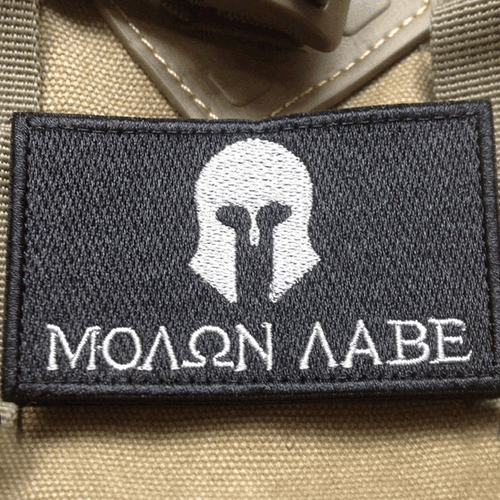 Molon Labe μολὼν λαβέ Come and Take TACTICAL ARMY BADGE PATCH | eBay