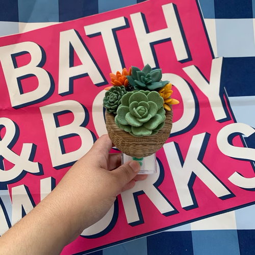 Bath & Body Works Wallflower Plug In Succulent Wall Basket Scent ...