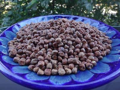 Gray Peas NUT Pea LATVIAN FOOD ECOLOGY ,Vegetable, 400 GR +bonus | eBay