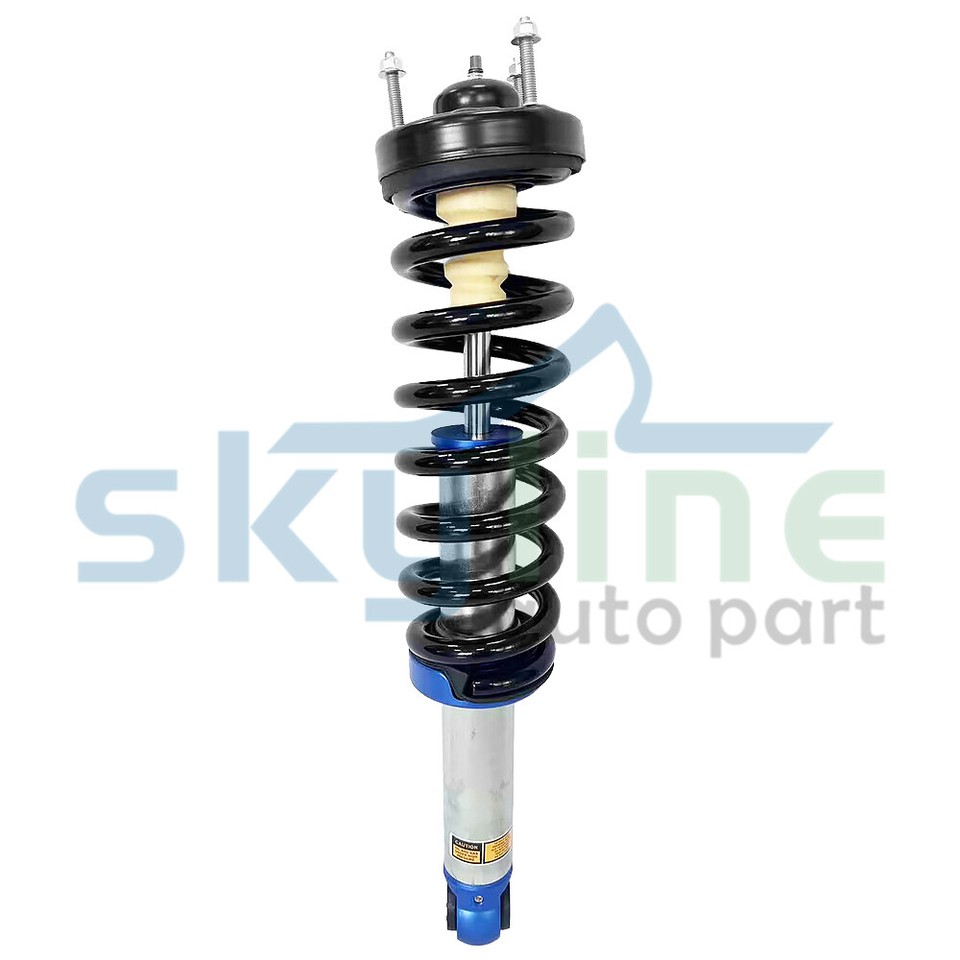 Pair Front Shock Absorber Strut Assys For Ford F-150 SVT Raptor STX ...