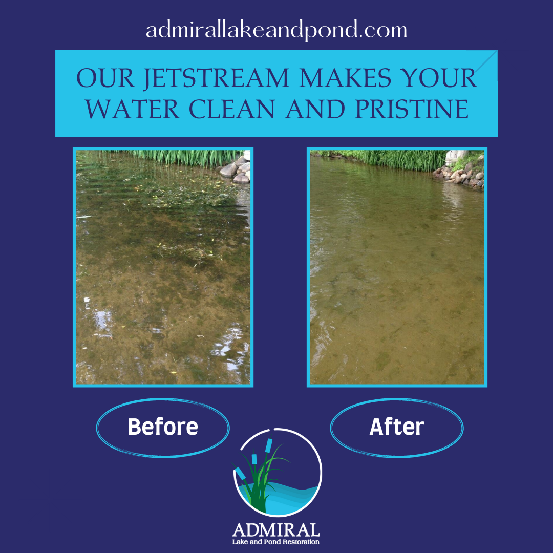 JetStream 1 HP Aqua Blower & Aqua Thruster w/ 100' Cord, Mounting Stake ...