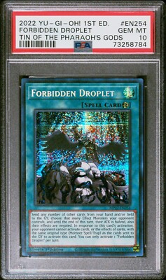 Yu-Gi-Oh! Forbidden Droplet, Prismatic Secret Rare, 2022, MP22-EN254 ...