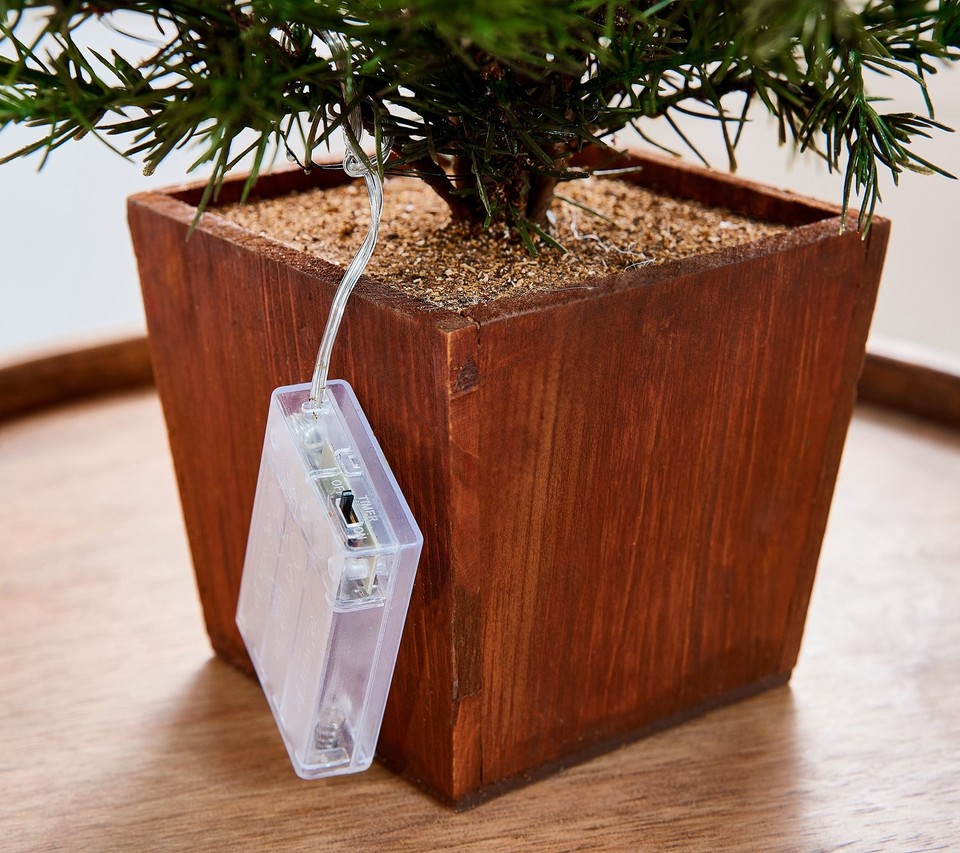 Home Reflections 37" Illuminated Potted Tree | eBay
