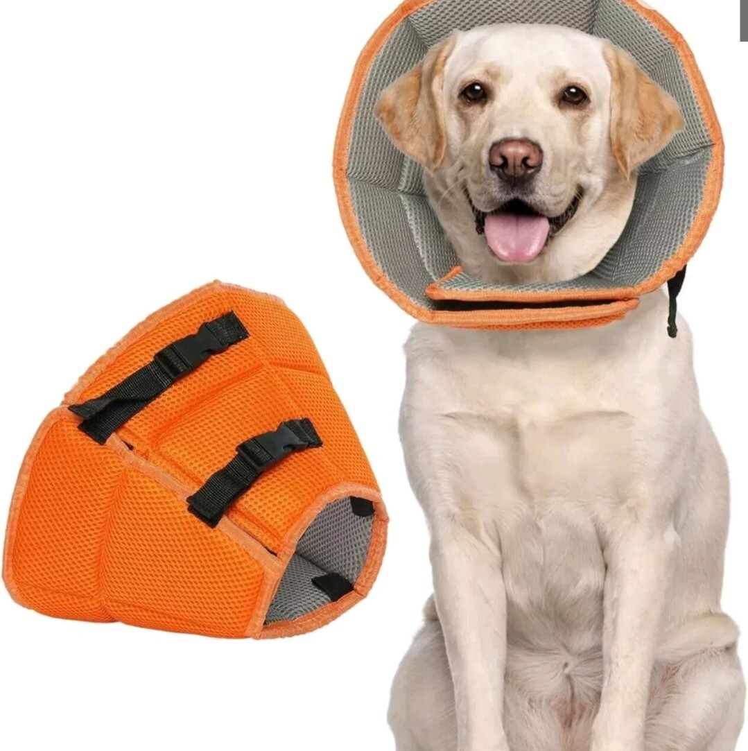 Junior Collar's Instagram, Twitter & Facebook on IDCrawl