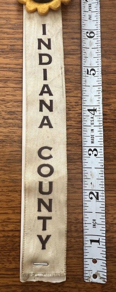 Antique 1936 Landon And Knox GOP Elephant Indiana County Western PA Pin ...
