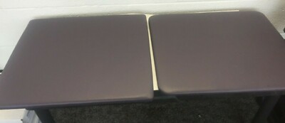 Ritter Midmark 304 Footboard Kit 002-0292-229 Perfect Plum | eBay