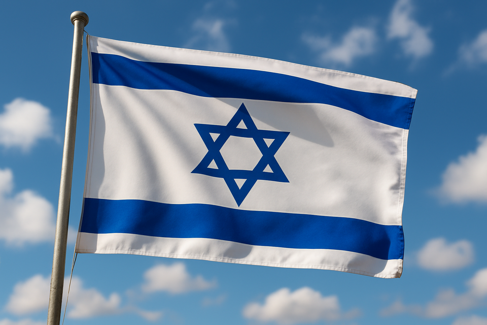 Israeli IDF Mossad Analog Black Watch Luminous Indexes& Hands Adi ...