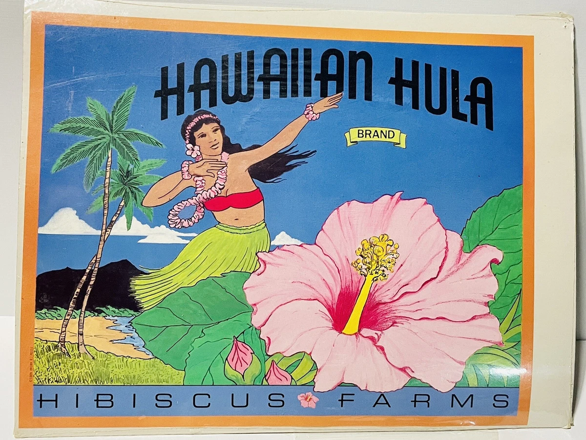 Vw Hula Flowers | Best Flower Site