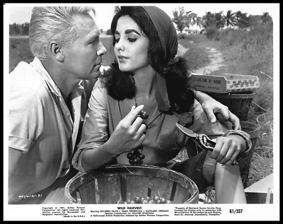 Dolores Faith + Dean Fredericks in Wild Harvest (1962) ORIGINAL PHOTO M ...