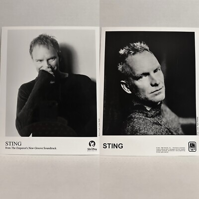 Sting 8x10 Promo Press Photo Black & White Original Lot of 2 | eBay