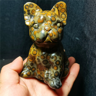 TOP 395.4G Natural Polished Money Wangcai Dog Agate Hand-carved Healing ...