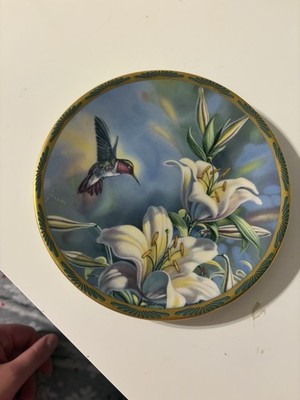 Pickard Ruby Throated Hummingbird and Lilies Collector Plate by Cyndi ...