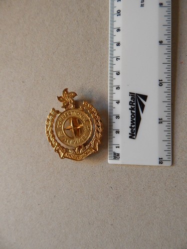 Obsolete Hong Kong Correctional Services (Prison) Cap Badge | eBay UK