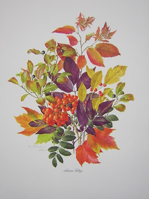 Anne Dowden Autumn Fall Foliage Signed 1970"s Vintage Botanical Art ...