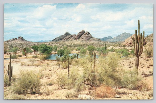 Papago Park Arizona Desert Scene with Saguaro Cactus Vintage Postcard ...