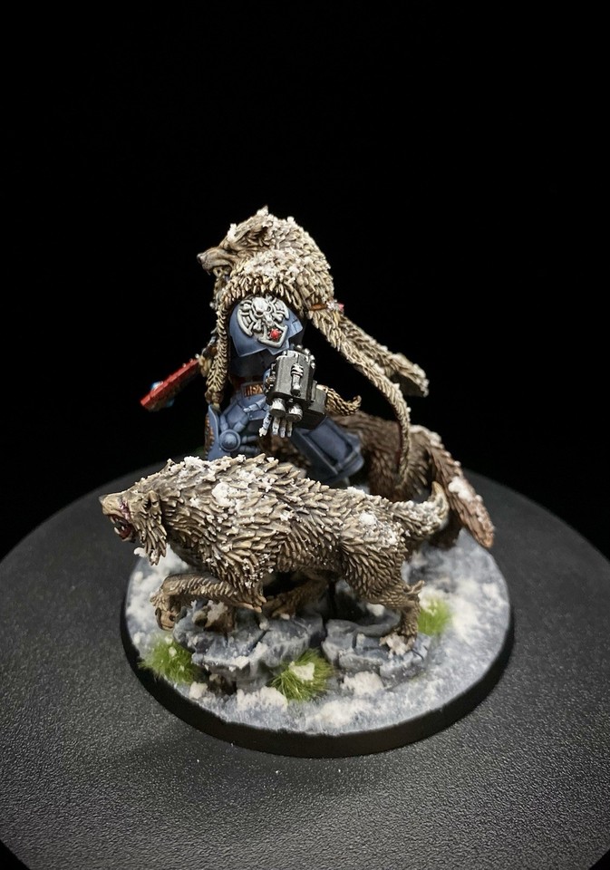 COMMISSION Pro Painted Ragnar Blackmane Space Wolves Warhammer 40K | eBay
