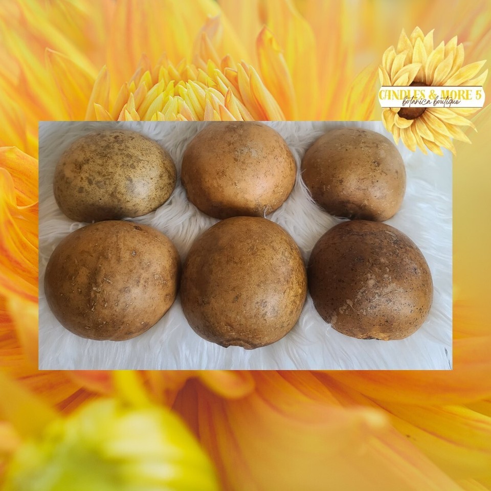 Jicaras para Moyumba Orisha Santo Misa Mayombe Religion Yoruba IFA ...