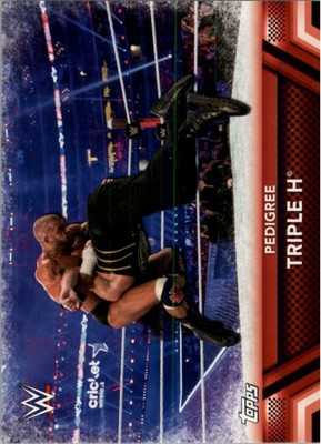 2017 Topps WWE Then Now Forever Finishers and Signature Moves #F9 ...
