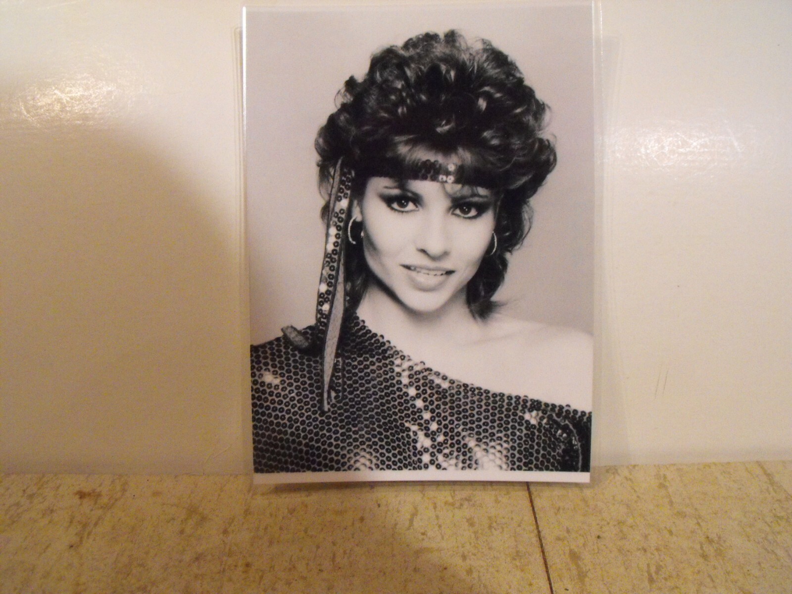SOLID GOLD DANCERS: Beautiful Laminated Photo of SGD Pam Rossi | eBay