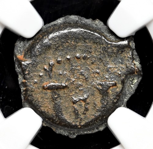 JUDAEA. Herod I "The Great". 40-4 BC. Æ Prutah, Cornucopia, NGC Fine | eBay