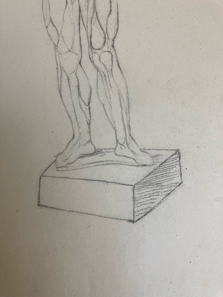 Anatomy Drawing Art Ecorché Hand Pencil Muscle 1850 Curiosity Body 19th ...