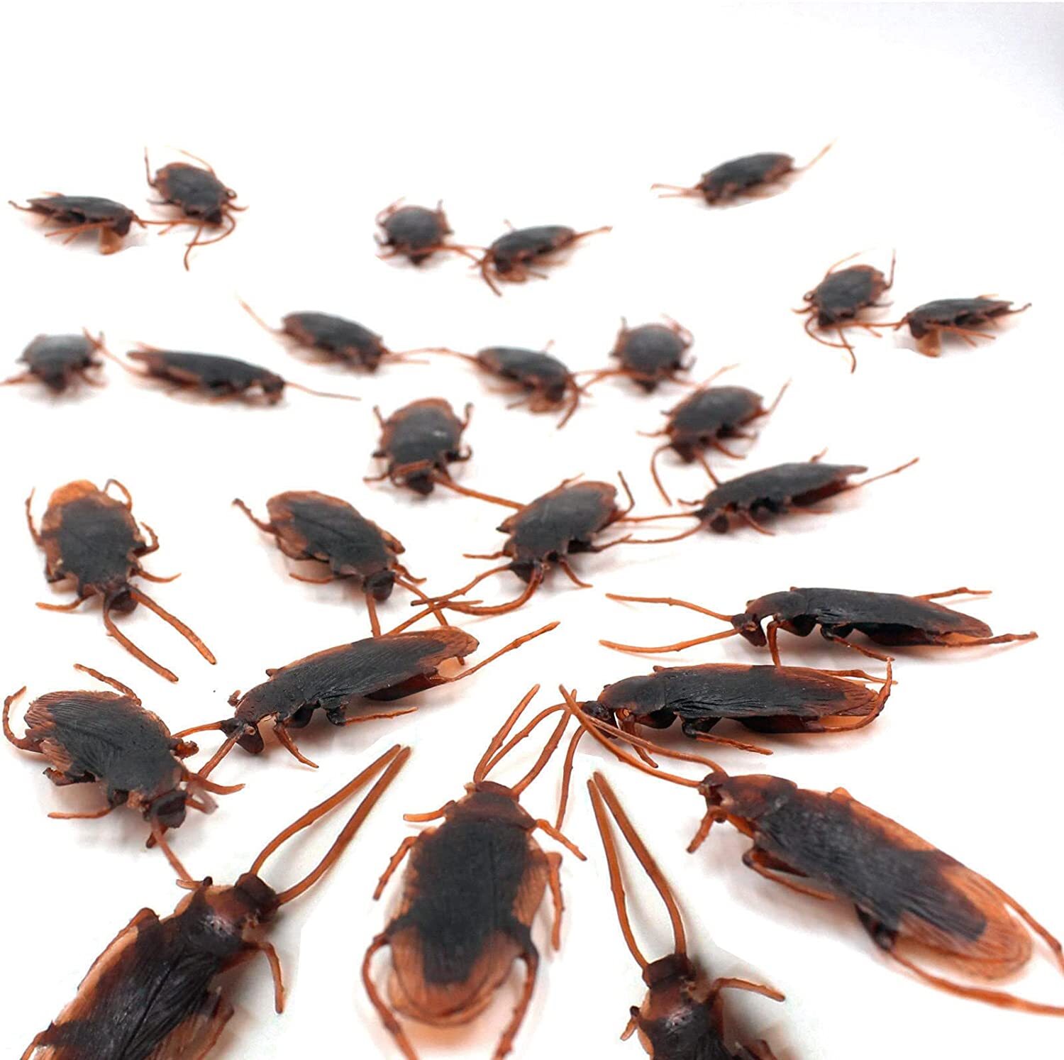 20 Prank Fake Roaches Plastic Cockroaches Creepy Roach Bugs Party Game ...