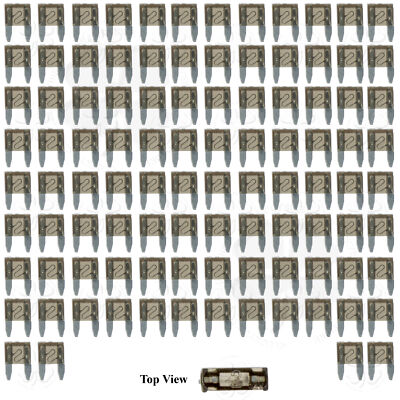 100x Mini Blade Fuse APM ATM 2A Amp Motorcycle Automotive Circuit Spade ...