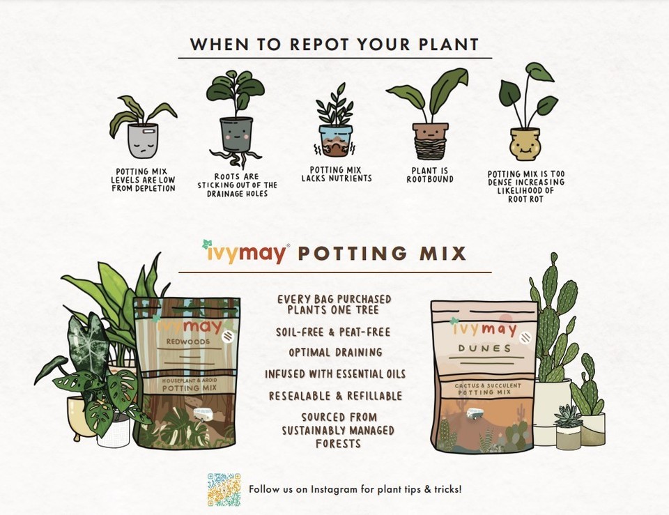 Premium Peat Free Chunky Potting Soil Mix for Indoor Plants – Bulk 30 ...