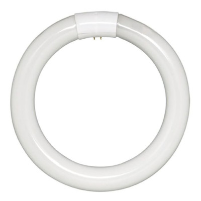 Crompton 22W T9 Warm White coolwhite Circular Fluorescent tube Round ...