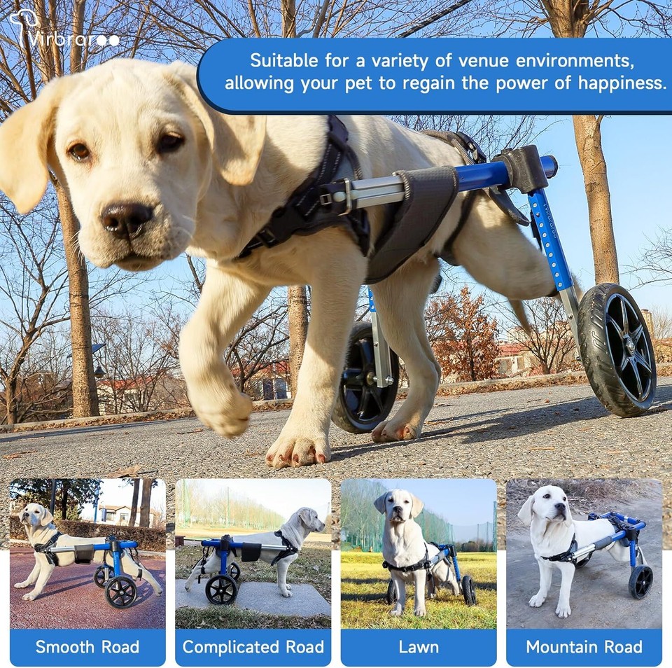 Medium Large Dog Wheelchair For Back Legs,Adjustable Dog-Assisted ...