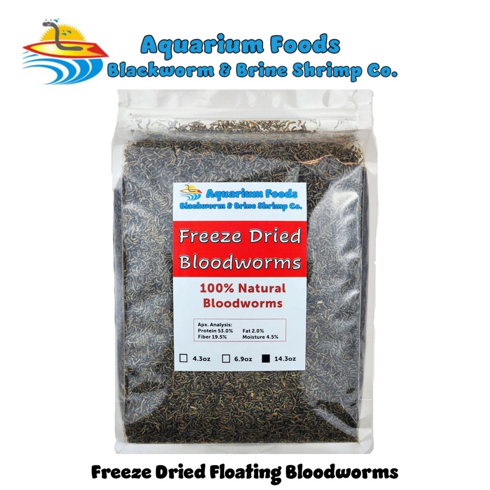 Bloodworms--Freeze Dried Grade "A" Bloodworms All Tropicals, Carnivore ...