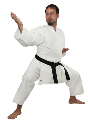 Zen Athletics Purple Logo 14oz Heavyweight Karate Uniform | eBay