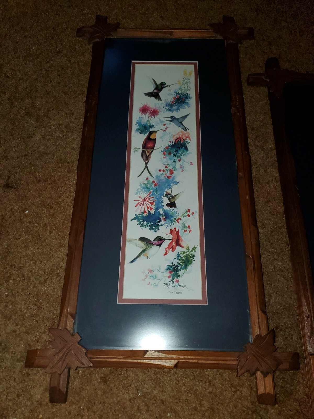 Pair of PM FITZPATRICK Limited Edition Exotic Birds Prints Antique ...