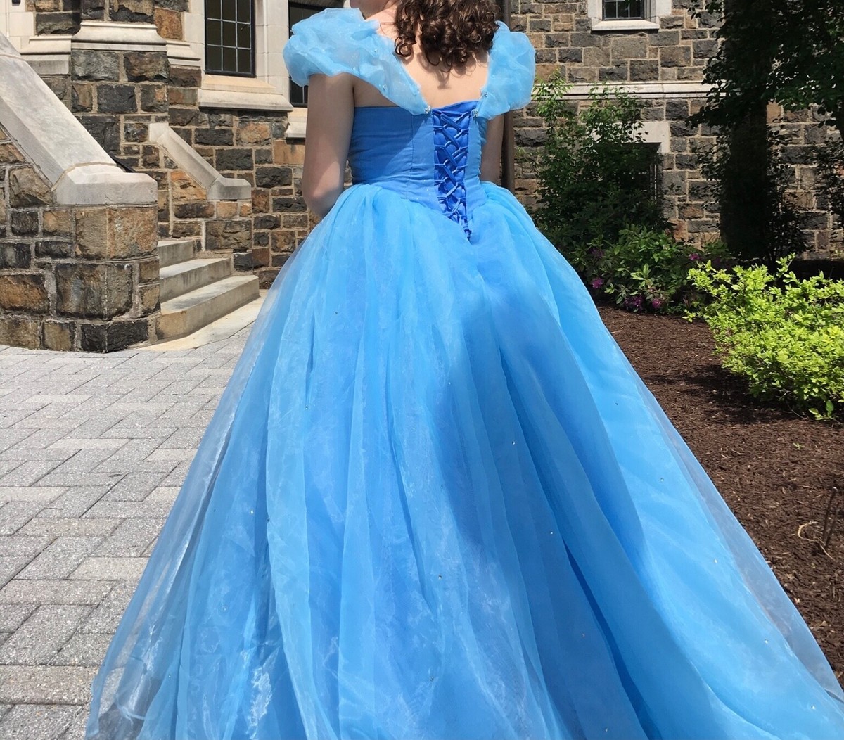 Disney Prom Dress