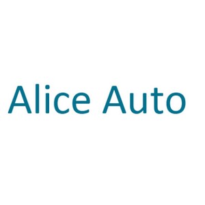 Alice Auto | eBay Stores