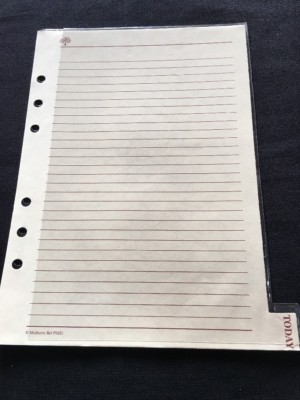 Organiser/Filofax MULBERRY Planner PVC TODAY TAB 210x150 mm-UNUSED ...