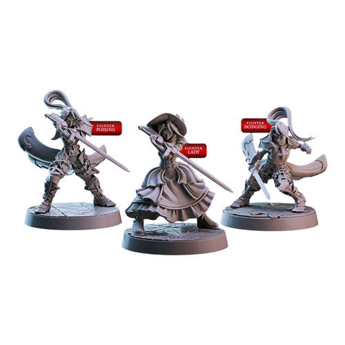 Vampire Fighter, 14k Resin Dungeons and Dragons DnD Miniatures D&D Mini ...