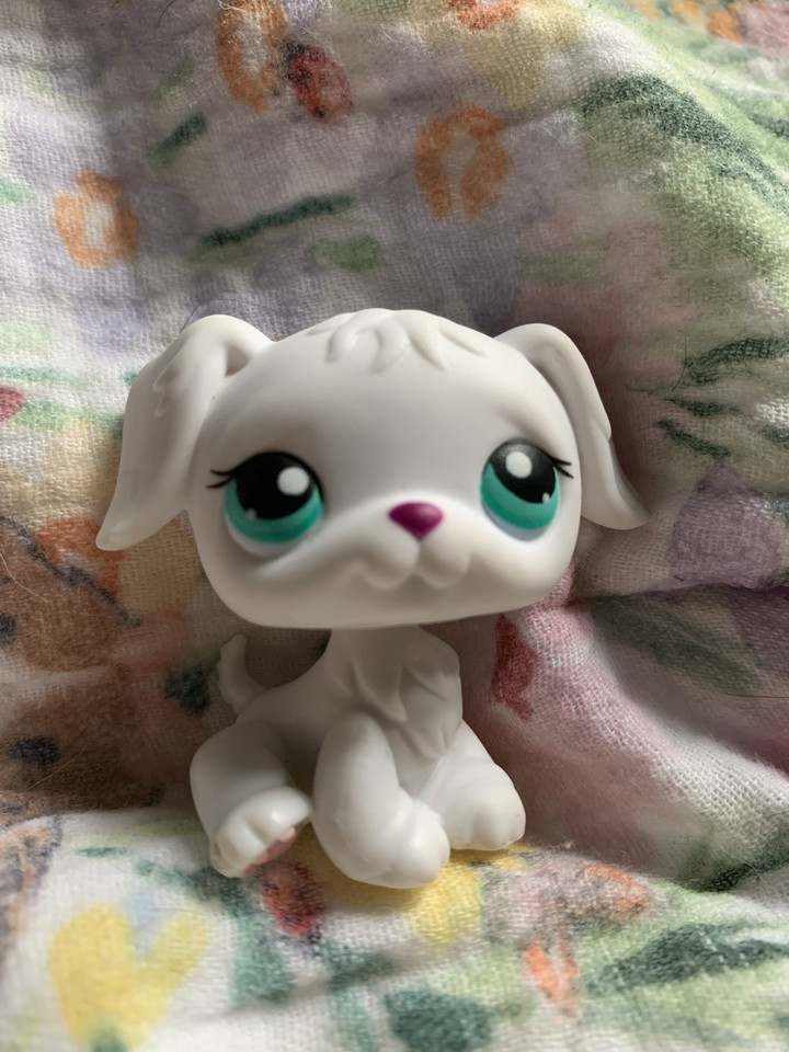 HTF ! White Retriever LPS | eBay