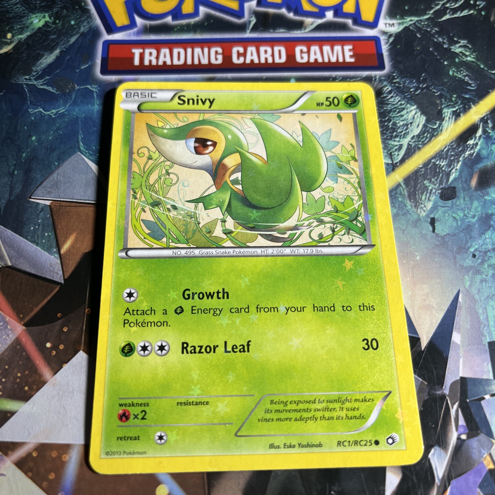 Pokemon Snivy Evolution Card