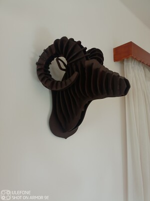 WOW Luxurious Wooden Carve Argali Sheep Head Trophy Wall Mount Art ...