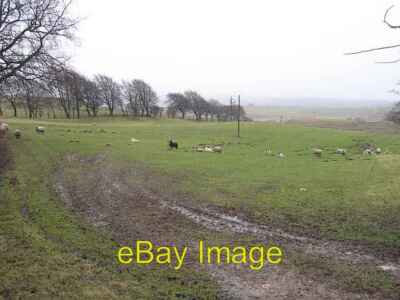 Photo 6x4 Sheep in sleet Springhill/NS8858 Soggy sheep on a foul ...