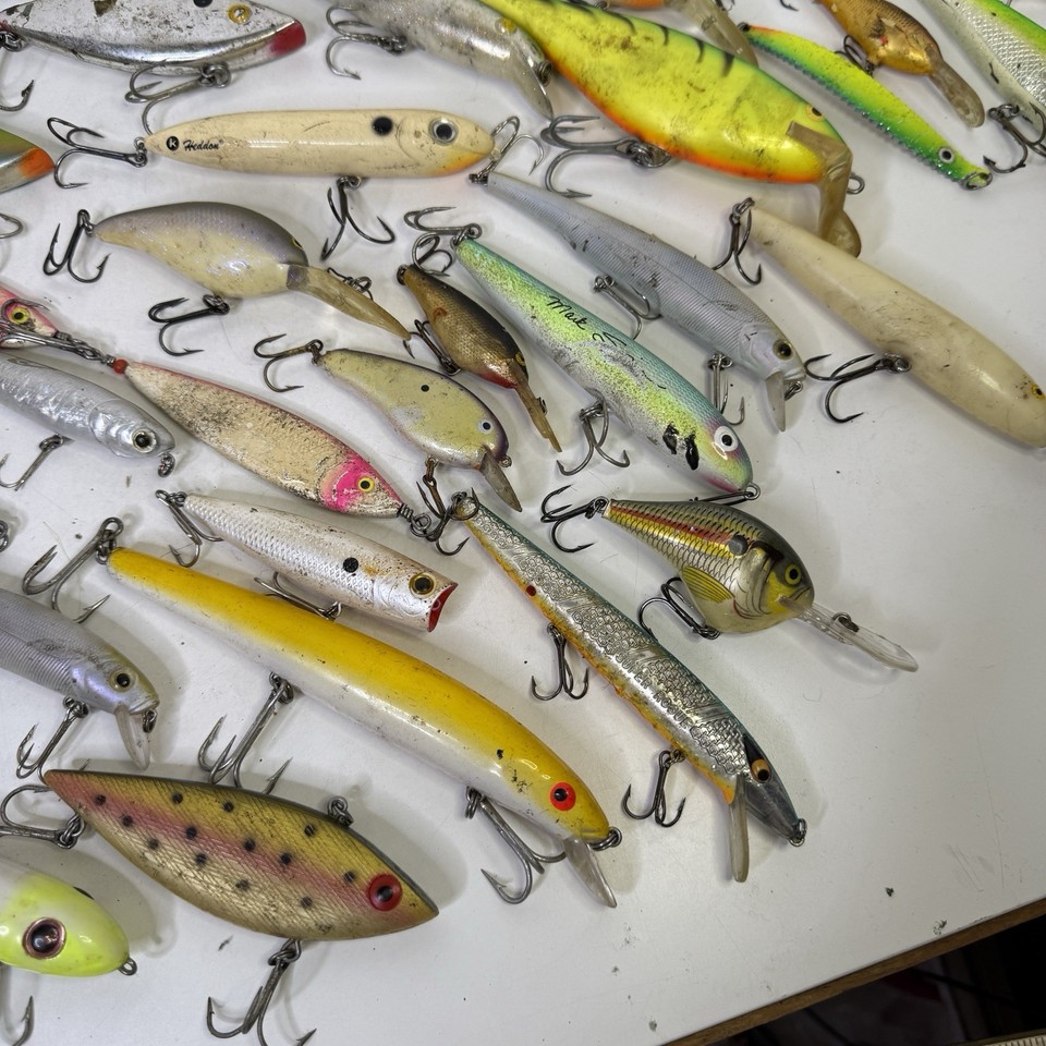 Lot of 50 Rapala Haddon Cordell Smithwick Fat Rap Crankbait Fishing ...