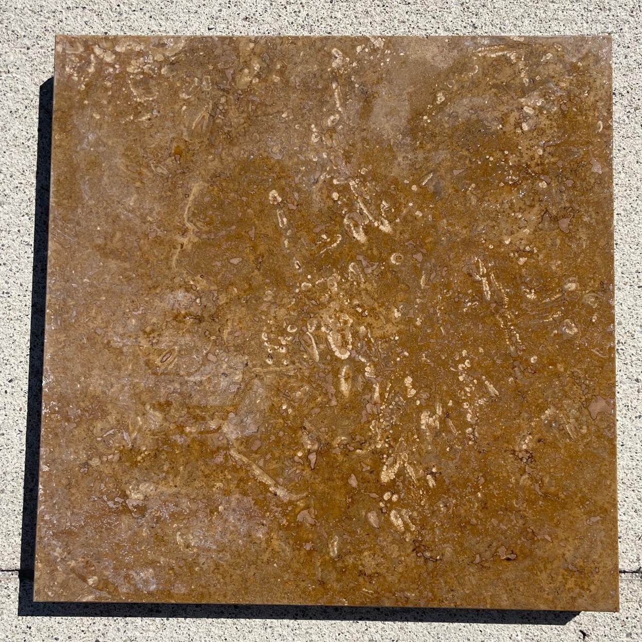 Chocolate Brown 12x12 Tile Marble Stone Floor Wall Remodel crate 200 SQ ...