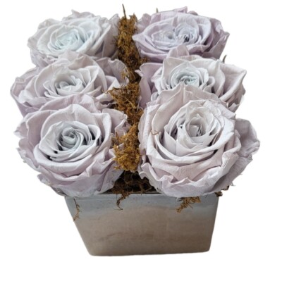 The Perfect Gift 6 Eternal Lavender Ecuadorian Roses in a Ceramic ...